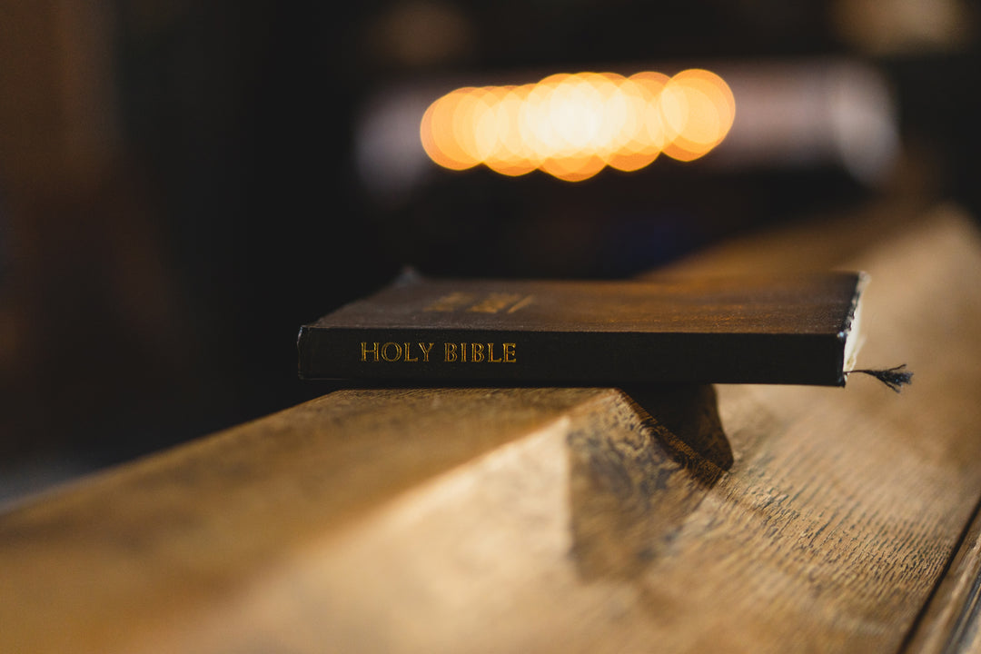 The Body Revival, A Full40 Holystic Transformation Experience by Turne ...